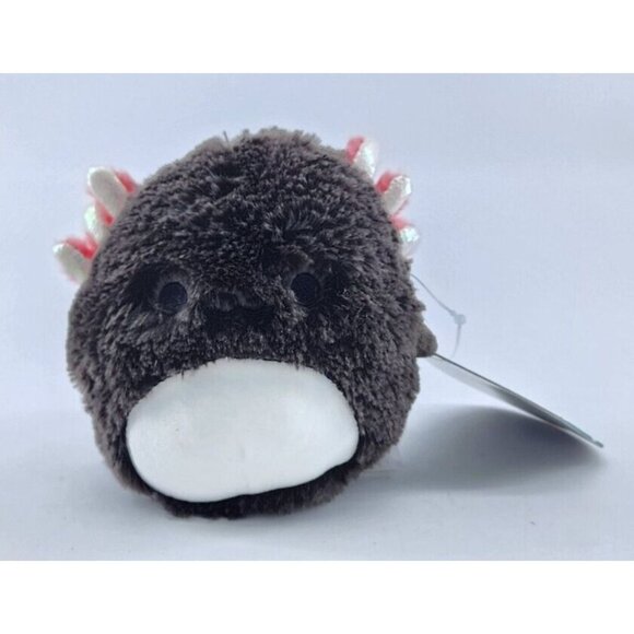 Squishmallows | Toys | Nwt Squishmallow Jaelyn The Black Axolotl ...